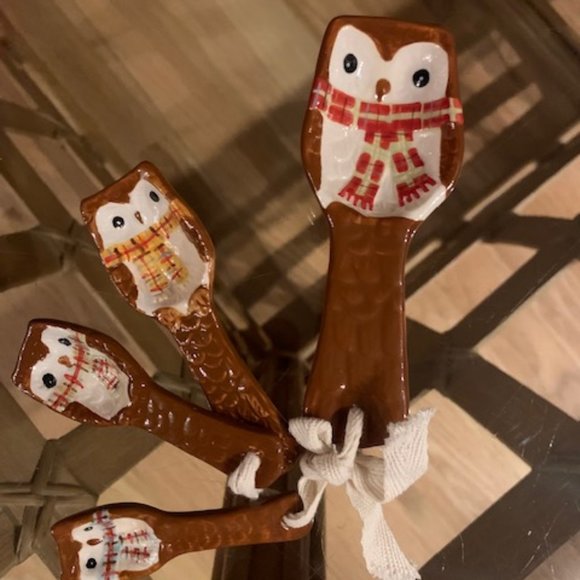 Pier 1 | Holiday | Pier Imports Ceramic Owl Measuring Spoons Set Of 4 ...